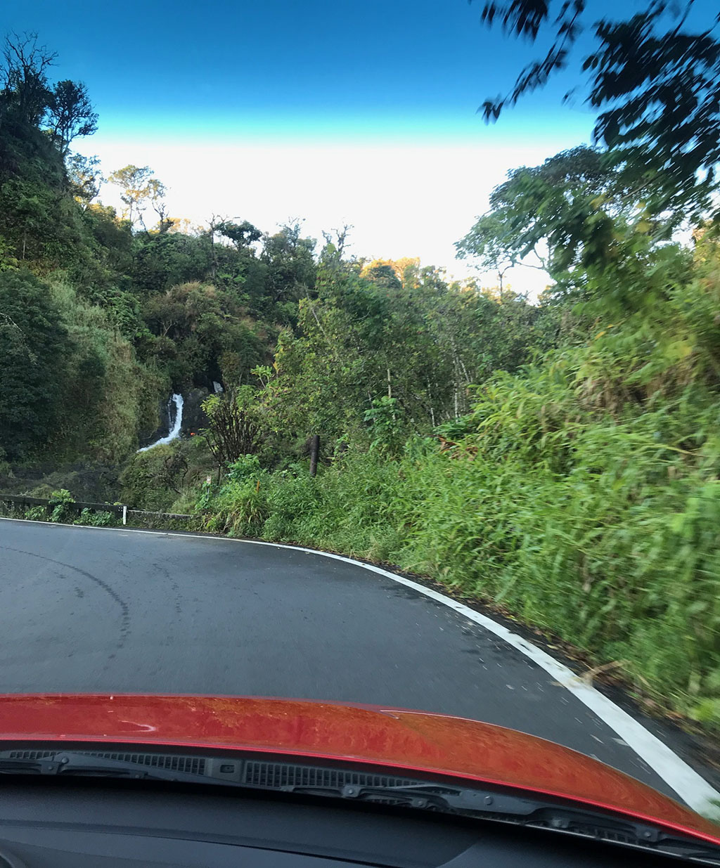 Tips for Surviving the Road to Hana Day Trip - Happy Landings